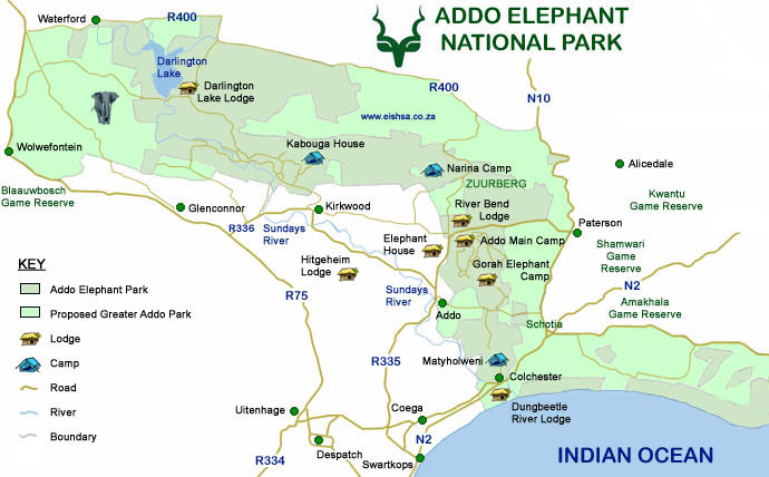 4 Tage Addo Elefanten Park Safari in Südafrika ab/bis Port Elizabeth